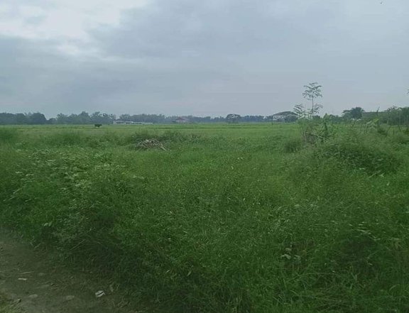 Farm Lot For Sale Philippines 🚜 [273 Properties] (March 2021) on ...