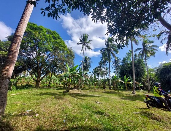 Farmland Philippines 🚜 [4,056 Properties] (August 2022) on OnePropertee.com