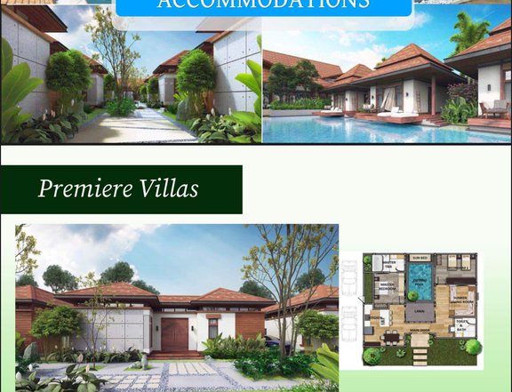 Agoho Tree Benefits [1,593 Properties] (June 2022) on OnePropertee.com