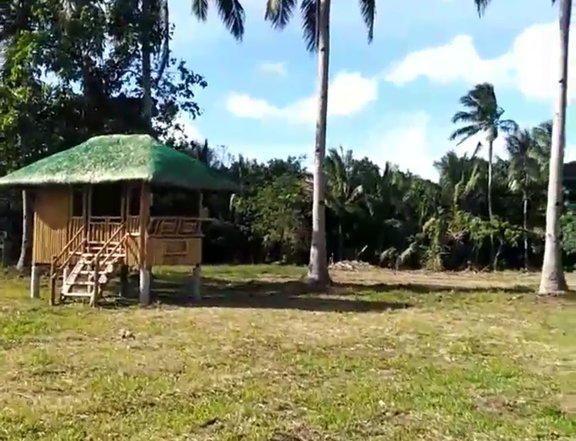 Barangay Timalan Balsahan Naic Cavite [9,998 Properties] (August 2022 ...