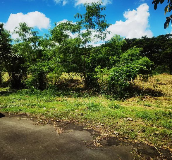 Elaro Lot For Sale Nuvali Calamba Laguna [24 Properties] (March 2026 ...
