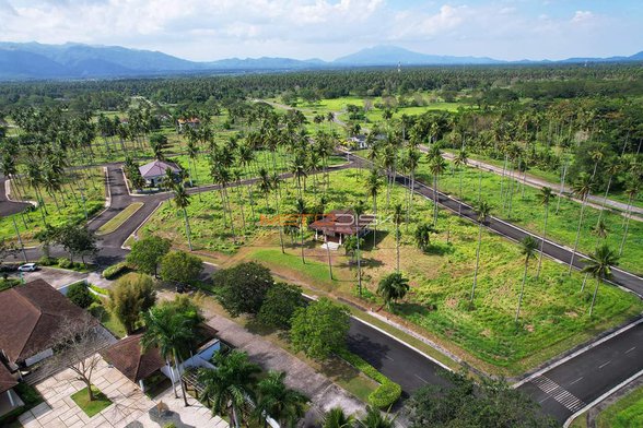 5 Hectares Lot For Sale Quezon [338 Properties] (March 2026) on ...