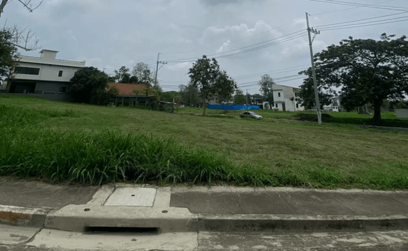 Morningfields At Carmeltown 161 Sqm Residential Lot For Sale Calamba ...