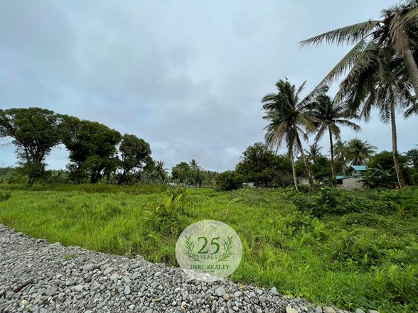 Brgy Dinahican Infanta Quezon [18,011 Properties] (April 2024) on ...