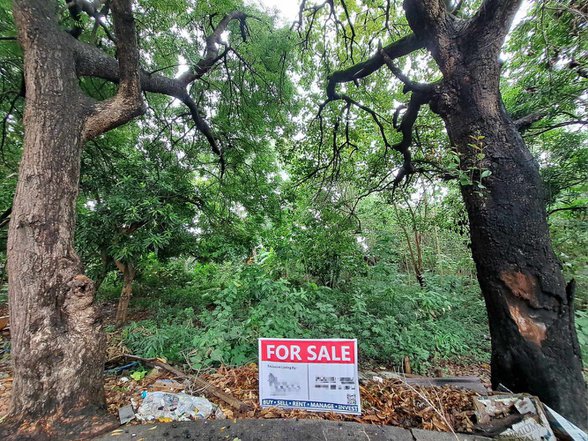 Flood Slex [5,857 Properties] (September 2025) on OnePropertee.com