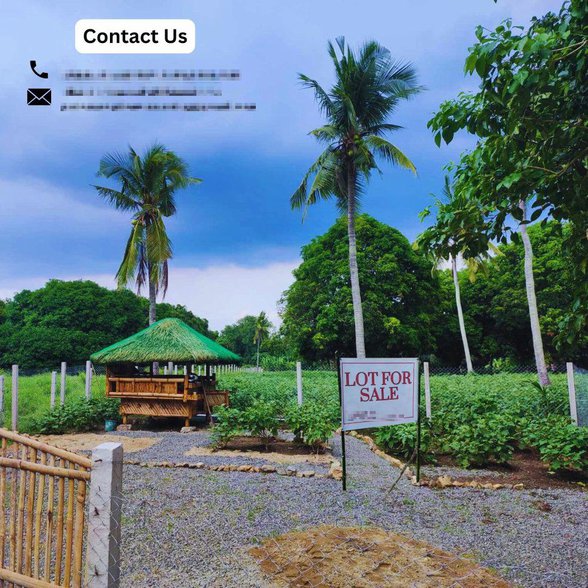 Residential Farm Lot For Sale San Jose Batangas [250 Properties ...