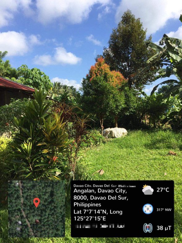 Calamansi Farm Sale Price Details [79,686 Properties] (December 2025 ...