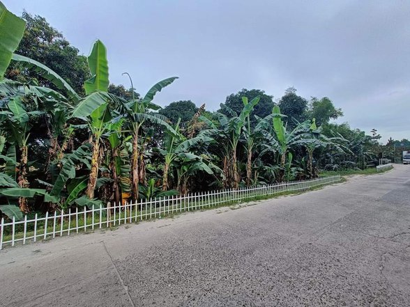 Porac Pampanga Resort [10,195 Properties] (September 2024) on ...