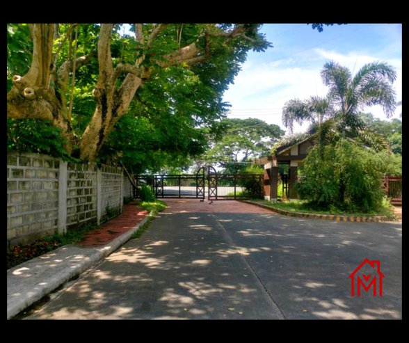 Mango Orchard Lot For Sale Naic Cavite [338 Properties] (April 2026) on ...
