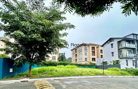 Residential Lot For Sale Bgc Bonifacio Global City The Fort Fort ...