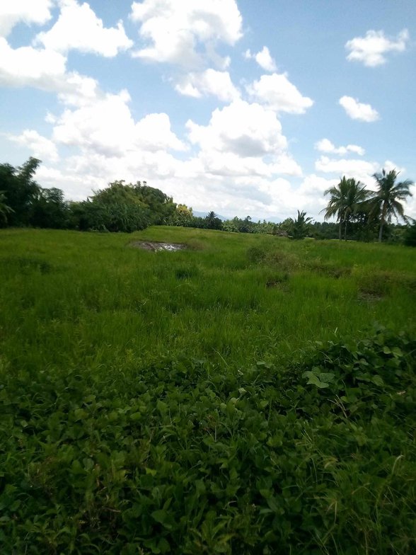 How Big Is 17 Hectares [5,657 Properties] (October 2024) on ...