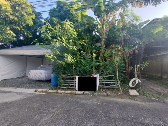 Bf Almanza Lot For Sale Las Pinas [1,408 Properties] (June 2025) on ...