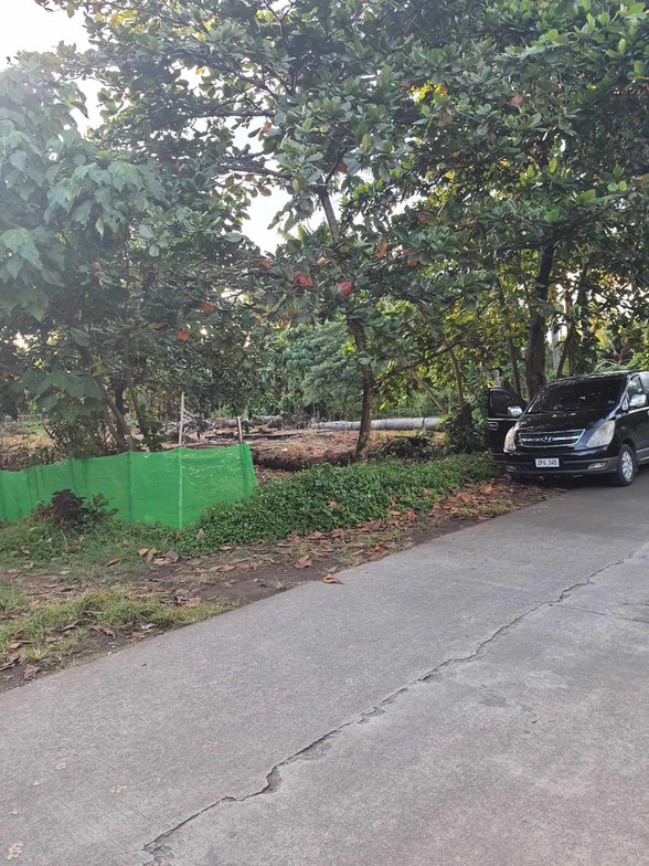 Lastrella Farm Photos [12,054 Properties] (November 2023) on ...