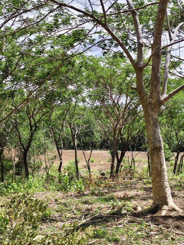 Mini Palawan Norzagaray [140 Properties] (June 2025) on OnePropertee.com