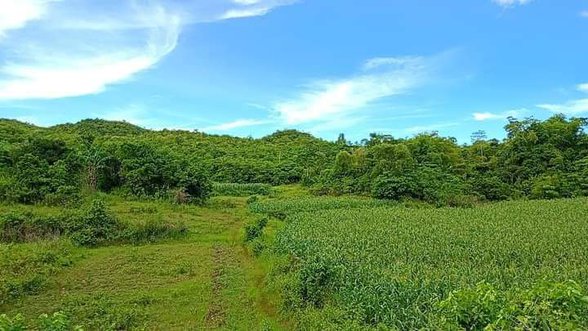 Foreclosed Farm Lot For Sale Philippines [663 Properties] (December ...