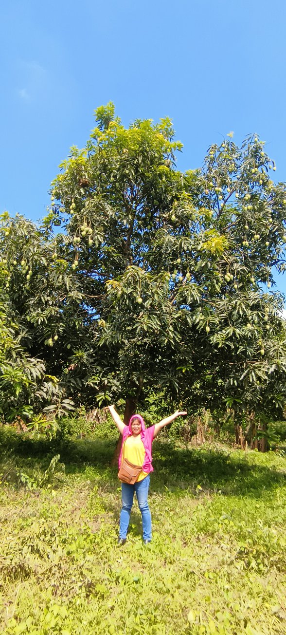 1-hectare-land-for-sale-15-405-properties-july-2023-on