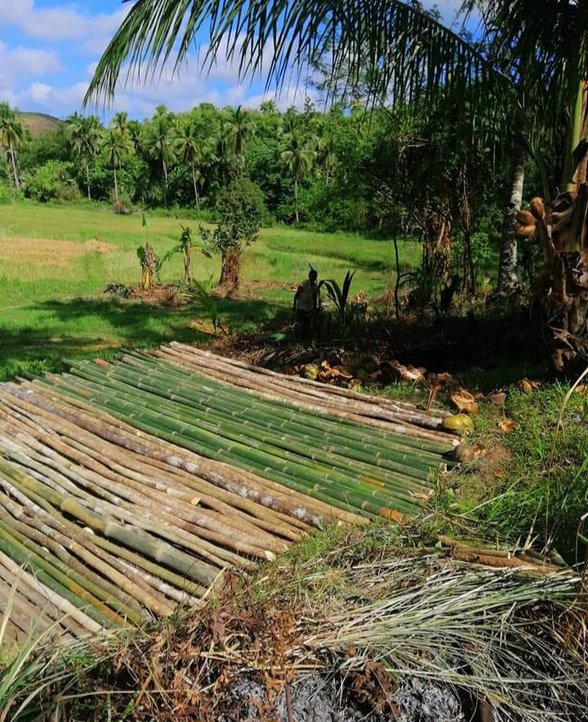 Properties For Sale Samar [106 Properties] (May 2026) on OnePropertee.com
