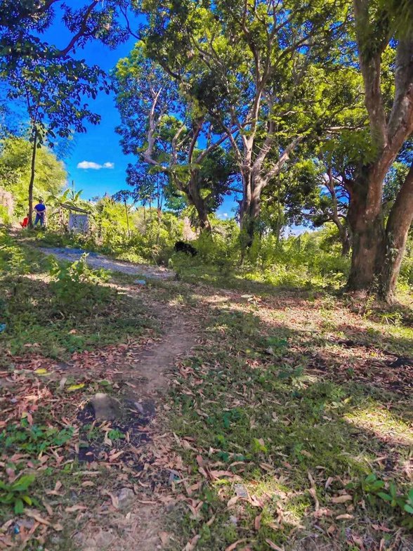 Camp Capinpin House And Lot For Sale Tanay Rizal [182 Properties] (July ...