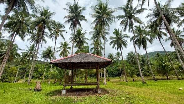 Berong Quezon Palawan [2 Properties] (March 2024) on OnePropertee.com