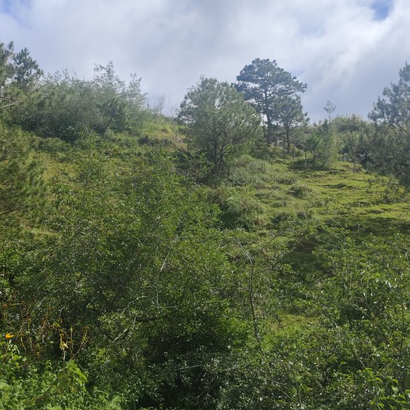 Owner House And Lot For Sale Baguio Benguet [122 Properties] (January ...