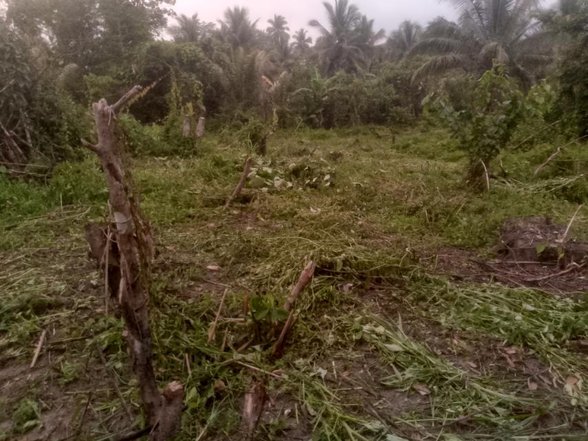Farm Lot For Rent Philippines [15 Properties] (June 2026) on ...