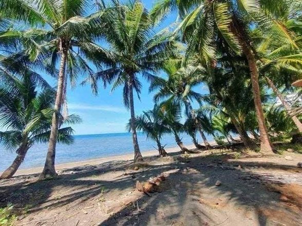 36 Barangay Of Bongabong Oriental Mindoro [28,079 Properties] (October ...