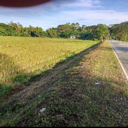 Agriculture In Occidental Mindoro Farm Lot For Sale Occidental Mindoro ...