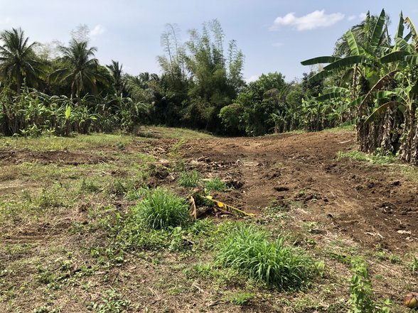 Bulacan Development Plan [11,851 Properties] (January 2024) on ...