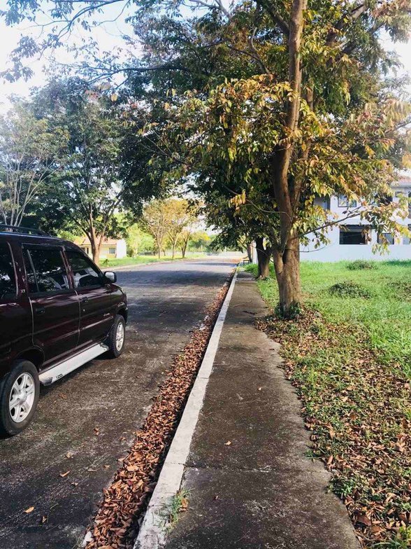 Evergreen Lot For Sale Binan Laguna [31 Properties] (June 2025) on ...