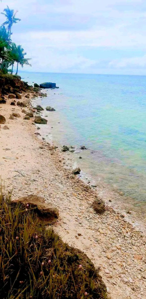 Catmon Cebu Beaches [7,348 Properties] (May 2024) on OnePropertee.com