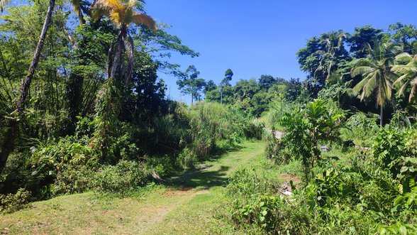 Pre Owned Commercial Property For Sale Tagbina Surigao Del Sur [4 ...