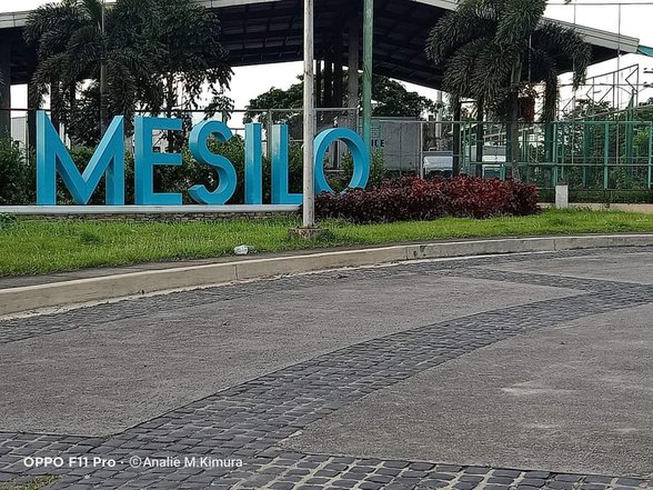 Mesilo At Nueva Vida Properties For Sale Dasmarinas Cavite [131 ...