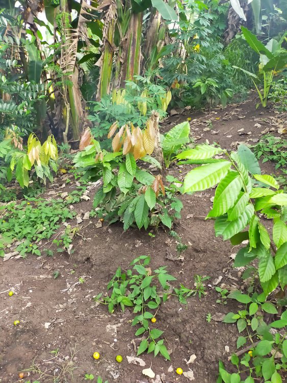 Eacb And Associates [1,931 Properties] (July 2025) on OnePropertee.com