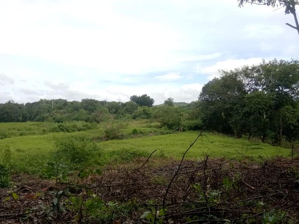 Mini Palawan Norzagaray Bulacan [2,663 Properties] (August 2022) on ...