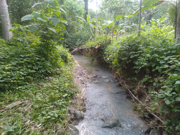 Residential Farm Lot For Sale Sablayan Occidental Mindoro [2 Properties ...