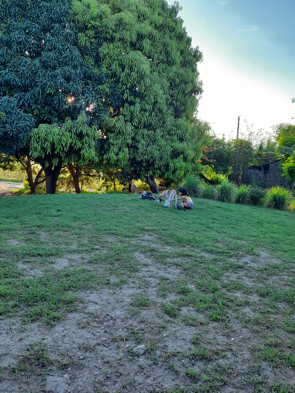 Foreclosed Farm Lot For Sale Lipa Batangas [77 Properties] (August 2021 ...