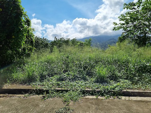 Dream Ridge Resort [18,140 Properties] (October 2025) on OnePropertee.com