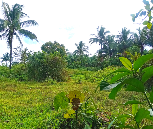 Emos Cavite [8,248 Properties] (December 2023) on OnePropertee.com