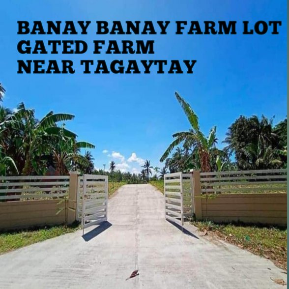 Banay Banay Plant [561 Properties] (June 2023) on OnePropertee.com