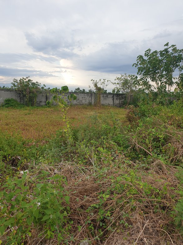 Dolmax Jaro Lot For Sale Iloilo City [126 Properties] (June 2025) on ...