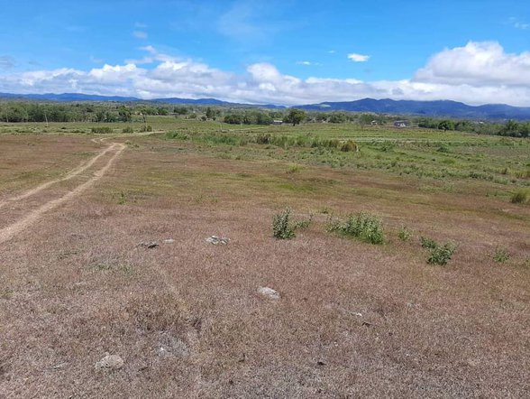 49 Hectares [5,842 Properties] (May 2025) on OnePropertee.com