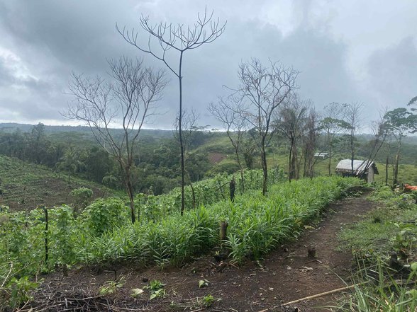 How Big Is 3 5 Hectares [39,051 Properties] (September 2025) on ...