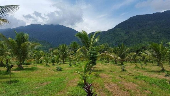 100 Hectares Farm Lot For Sale Philippines [14,707 Properties] (May ...