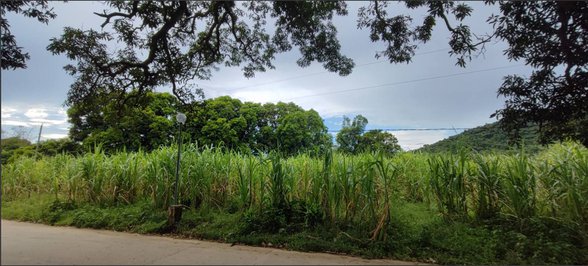 600 Sqm Lot For Sale 🚜 [14,923 Properties] (April 2023) on OnePropertee.com