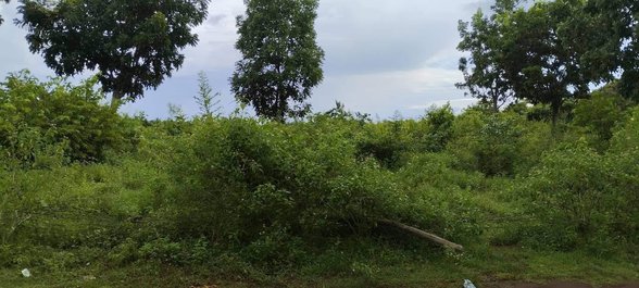 Azalea Vista By Apec Homes Lipa Photos [18,237 Properties] (April 2023 ...