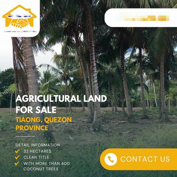 Province Farm Lot For Sale Quezon [105 Properties] (June 2026) on ...