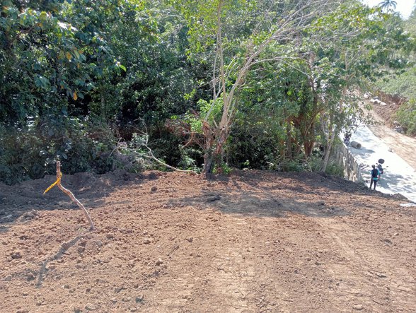 Naga Road [10,647 Properties] (May 2024) on OnePropertee.com