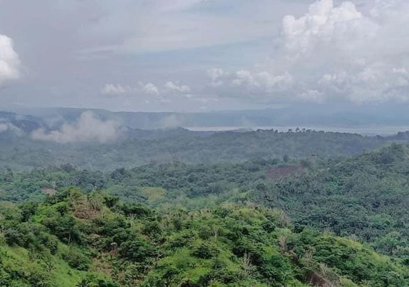 Living Forest Tanay Rizal Ca [20,111 Properties] (February 2024) on ...