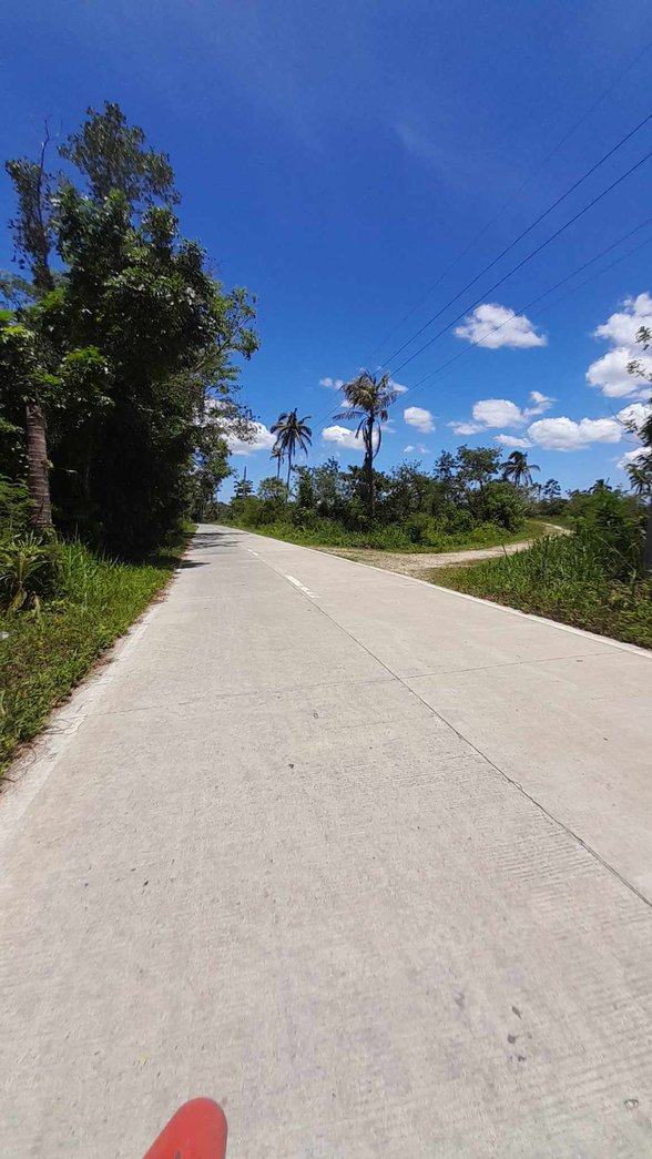 Borja Subdivision Calamba Laguna [25,024 Properties] (June 2025) on ...