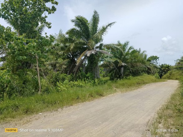 How Big Is 60 Hectares [7,823 Properties] (June 2025) on OnePropertee.com